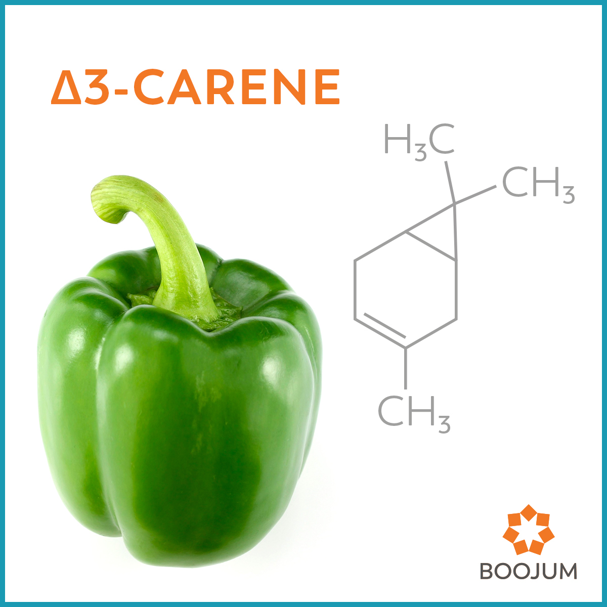 Terpenes: An Overview – Boojum Group
