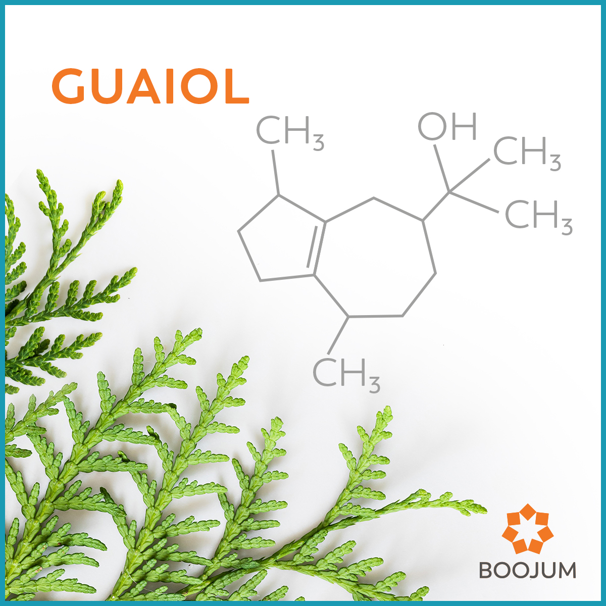 Terpenes: An Overview – Boojum Group